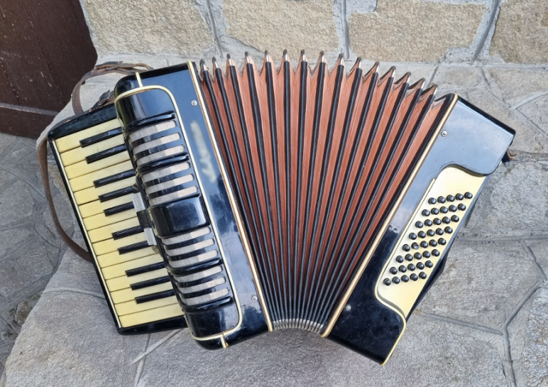 Parti della Fisarmonica: Quali Sono