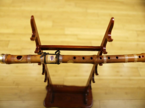 Tipi di Flauto Diversi: Nomi e Fatti Interessanti