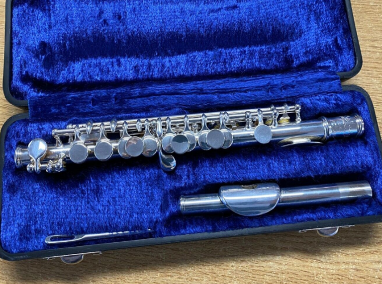 Tipi di Flauto Diversi: Nomi e Fatti Interessanti