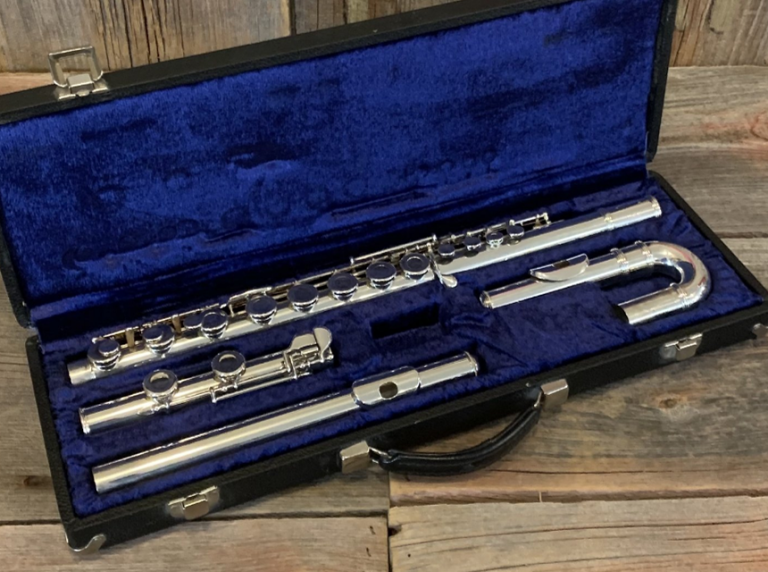 Tipi di Flauto Diversi: Nomi e Fatti Interessanti