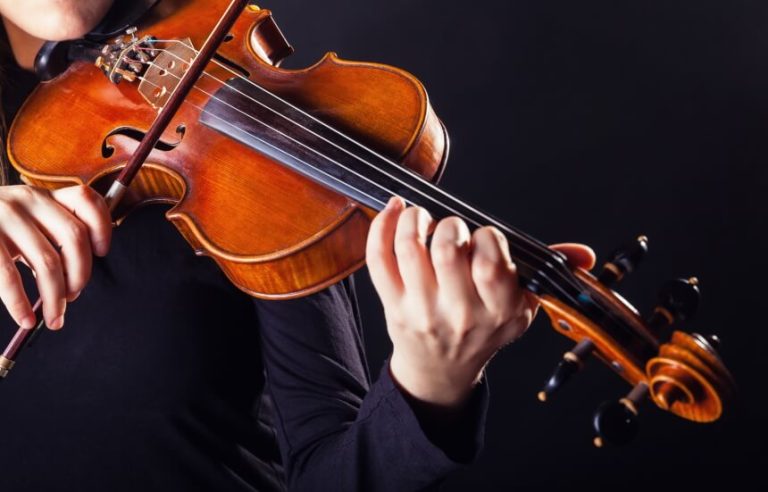 Parti del Violino: Nomi, Dimensioni, Curiosità