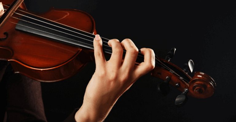 Parti del Violino: Nomi, Dimensioni, Curiosità