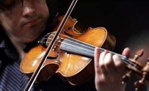 Parti del Violino: Nomi, Dimensioni, Curiosità